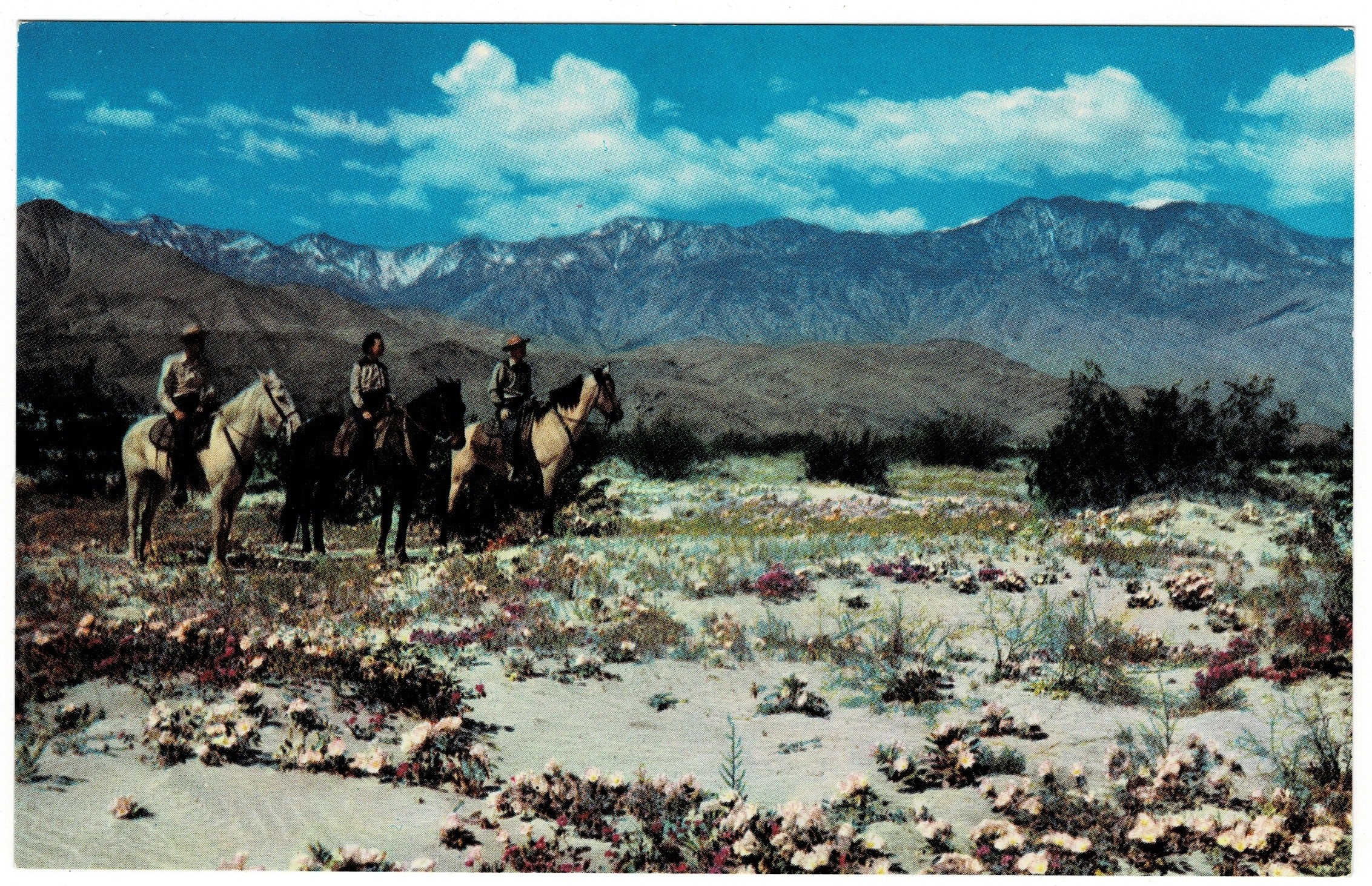 1950s Spring Ride Through the Desert Bloom Palm Springs California ...